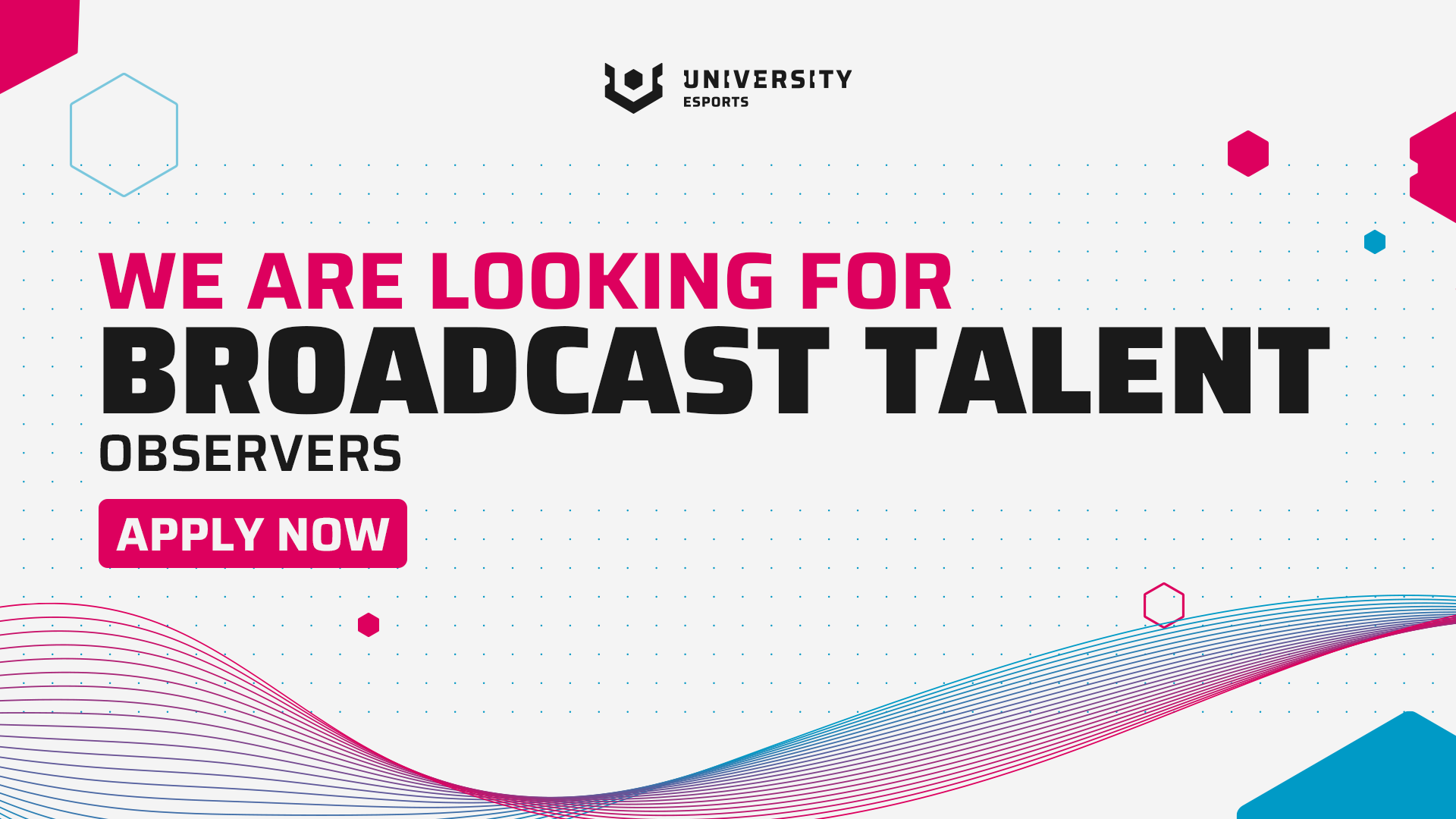 In-Game Observer Job Description